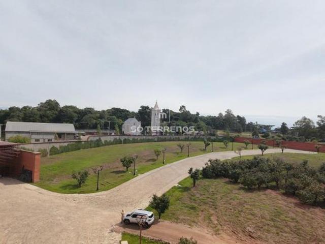 Terreno à venda em Monte Bérico