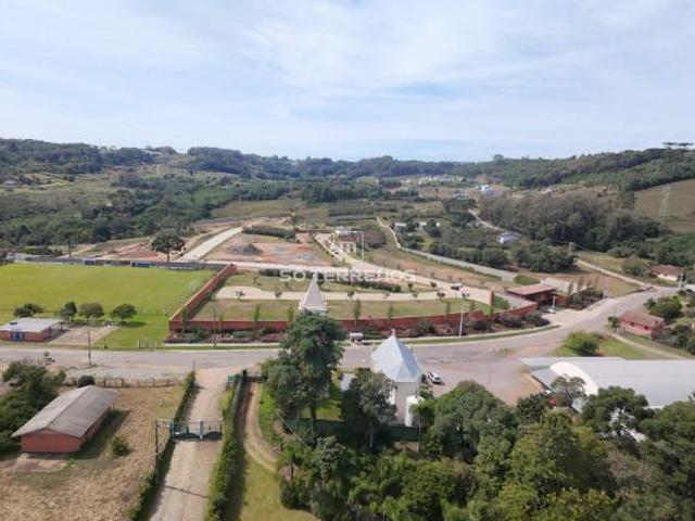 Terreno à venda em Monte Bérico