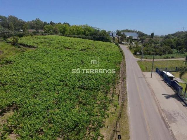 Terreno à venda em Monte Bérico