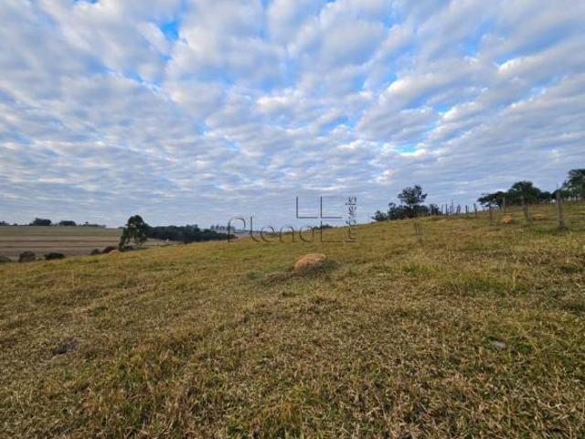 Terreno à venda em Monte Mor, Jardim Paviotti, com 25000 m²
