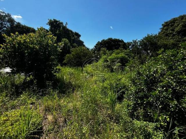 Terreno à venda em Monte Mor/SP, Recanto das Orquídeas 1.200m²