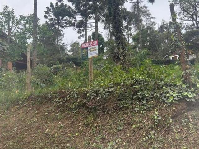 Terreno à venda em Monte Verde
