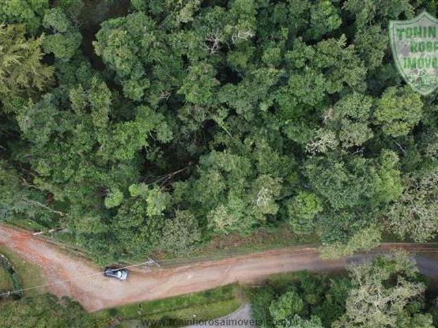 Terreno à venda em Monte Verde