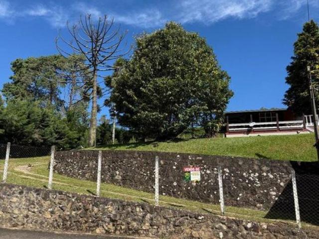 Terreno à venda em Monte Verde