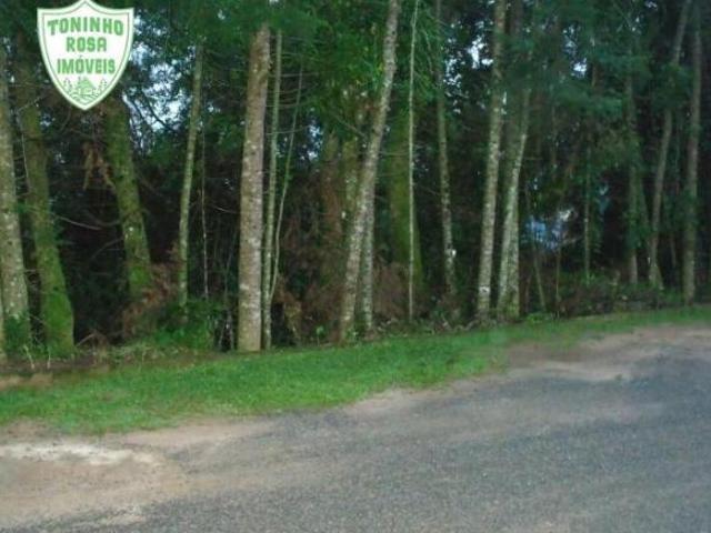 Terreno à venda em Monte Verde
