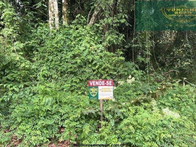 Terreno à venda em Monte Verde