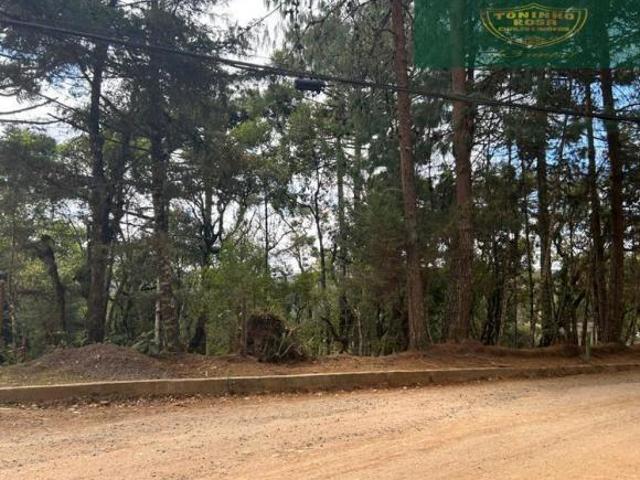 Terreno à venda em Monte Verde