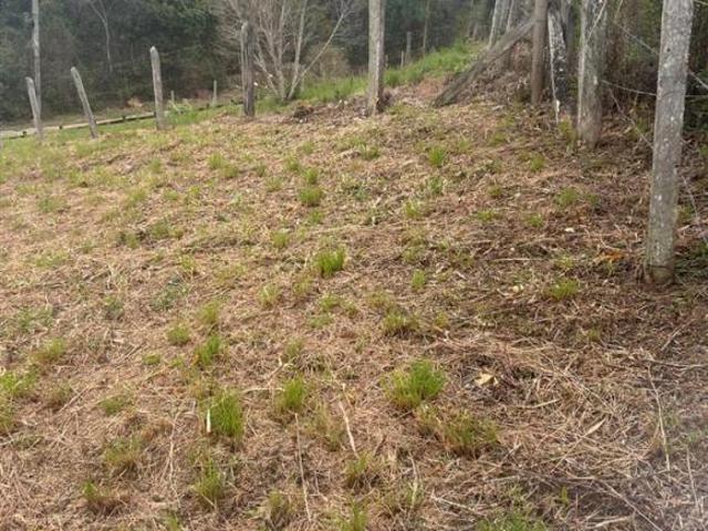 Terreno à venda em Monte Verde