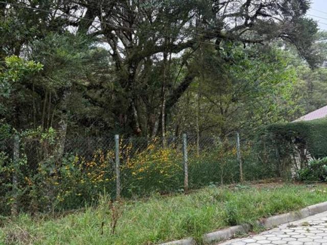 Terreno à venda em Monte Verde