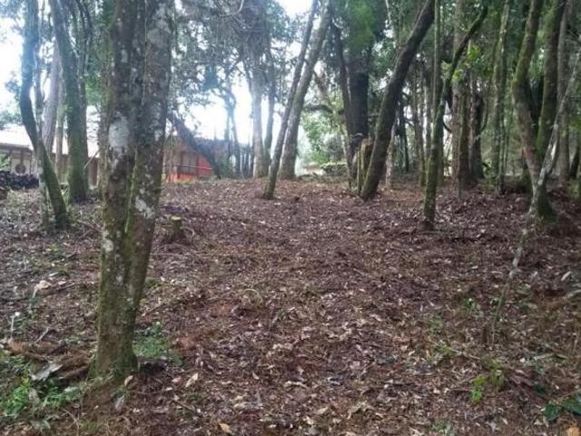 Terreno à venda em Monte Verde