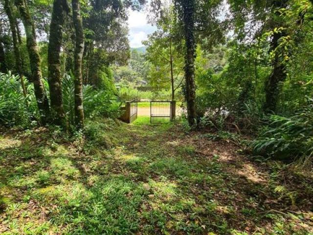 Terreno à venda em Monte Verde