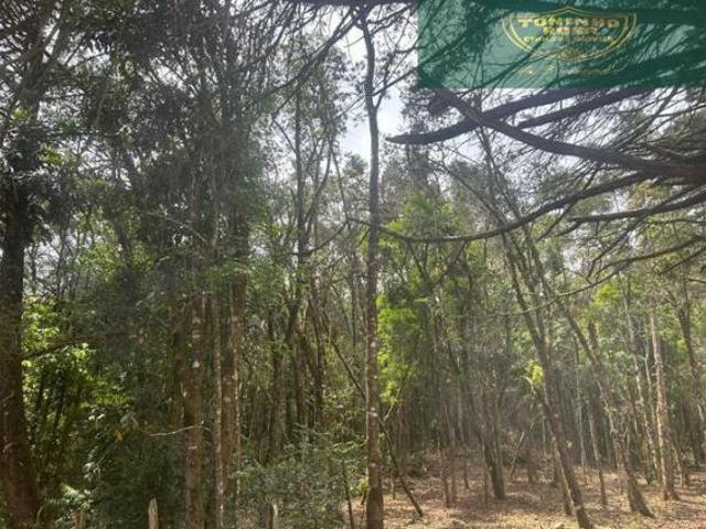 Terreno à venda em Monte Verde
