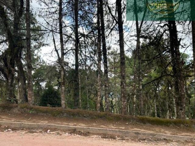 Terreno à venda em Monte Verde