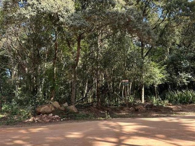 Terreno à venda em Monte Verde