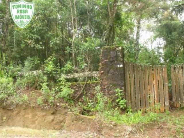 Terreno à venda em Monte Verde