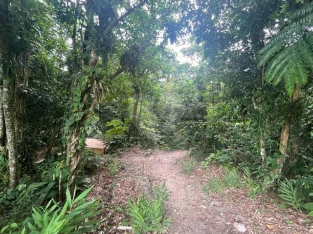Terreno à venda em Morada da praia SP