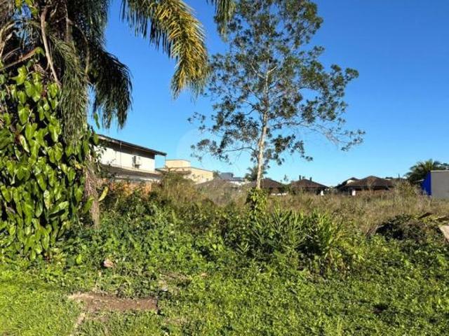 Terreno à venda em Morada da praia SP