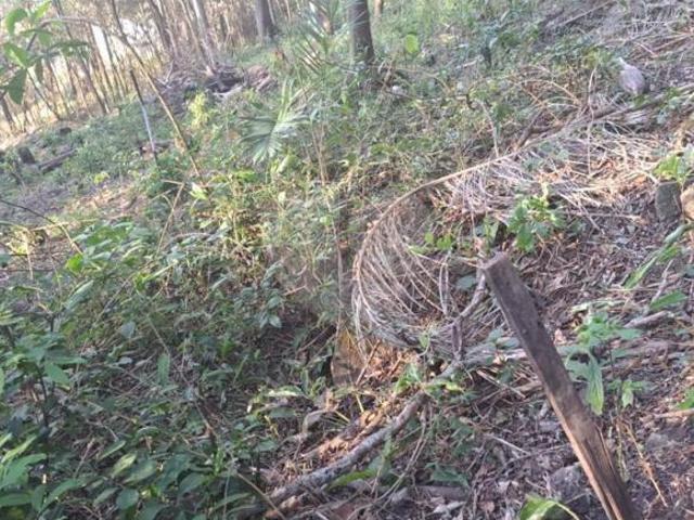 Terreno à venda em Mato dentro SP