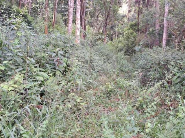 Terreno à venda em Mato Dentro SP