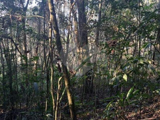 Terreno à venda em Mato dentro SP