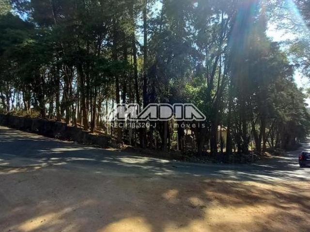 terreno à venda em Macuco