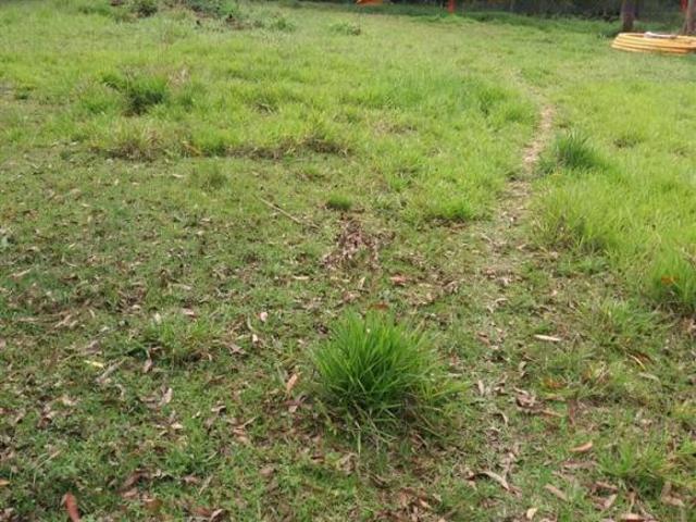 Terreno à venda em Mairiporã