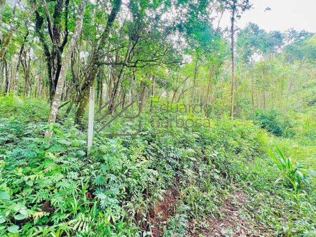 Terreno à Venda em Mairiporã/SP