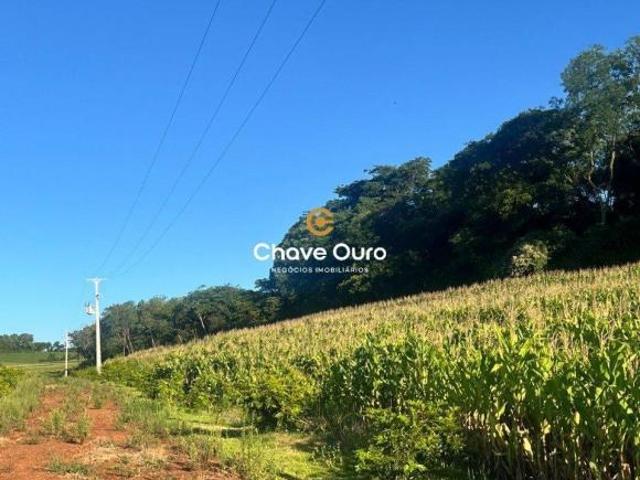 Terreno à venda em Marechal Cândido Rondon