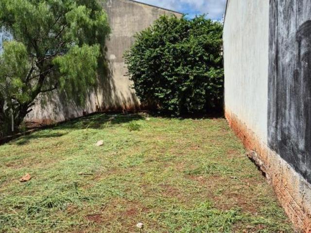 Terreno à venda em Maringá, Jardim Paulista, com 150 m², 6x25, meio terreno