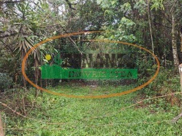 Terreno à venda em Mariana