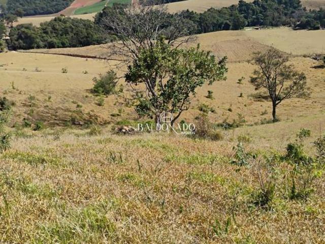 TERRENO A VENDA EM MUNHOZ MG 5.440 METROS OPORTUNIDADE 2 KM DO CENTRO
