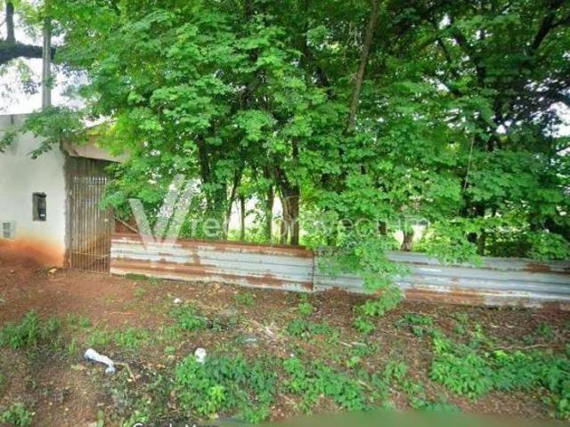 terreno à venda em Nova Veneza