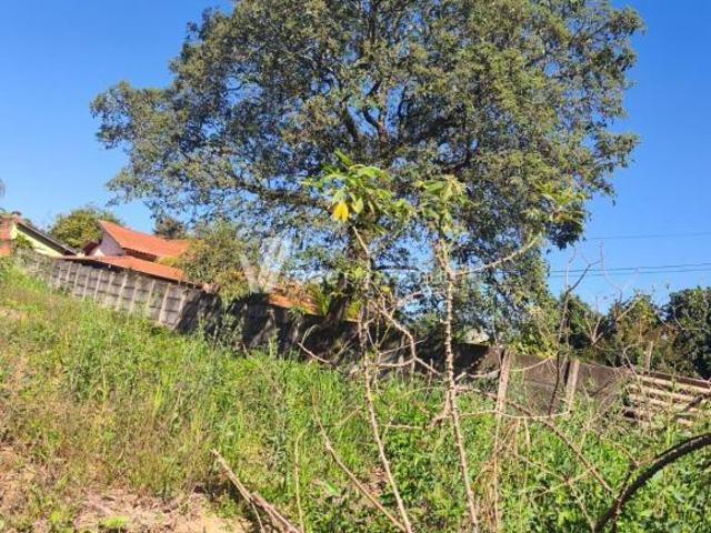 terreno à venda em Nova Veneza