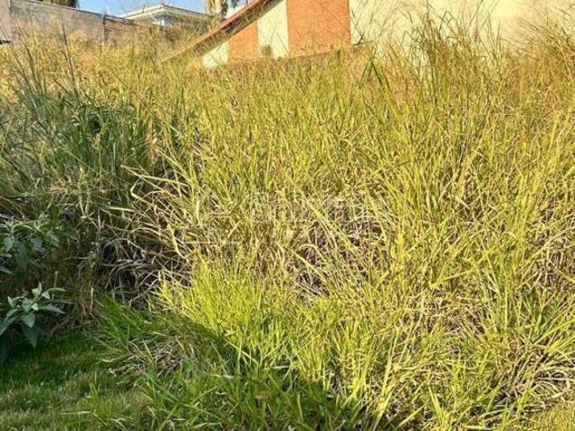 terreno à venda em Nova Campinas