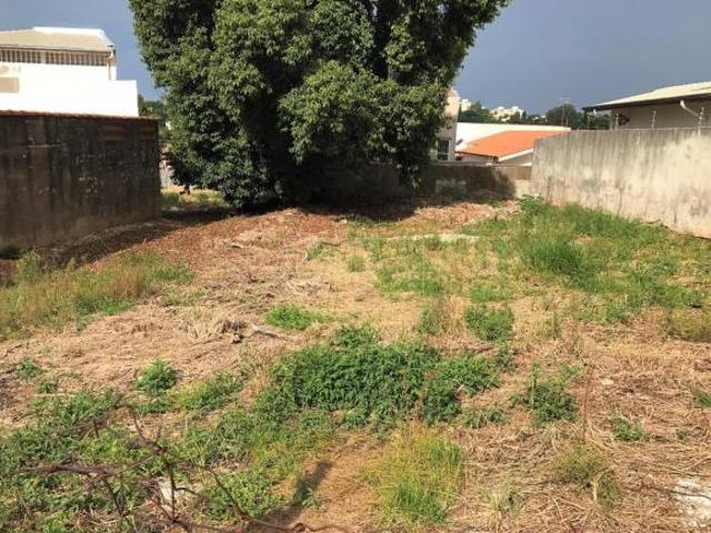 terreno à venda em Nova Campinas