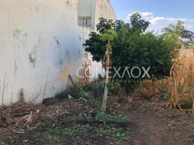 terreno à venda em Nova Campinas