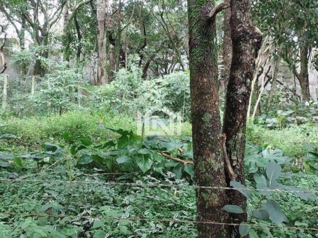 Terreno à venda em Nova Fazendinha