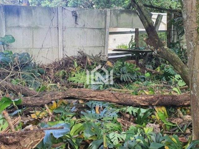 Terreno à venda em Nova Fazendinha