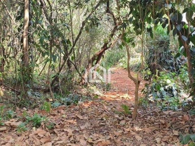 Terreno à venda em Nova Fazendinha