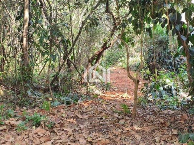 Terreno à venda em Nova Fazendinha
