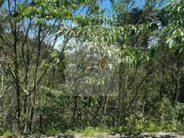 Terreno à Venda em Nova Petrópolis | 378m² Loteamento Bosque das Araucárias I | Linha Imperial