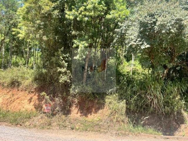 Terreno à Venda em Nova Petrópolis | 387m² Linha Imperial | Acima do Nível da Rua