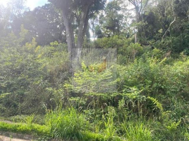 Terreno à Venda em Nova Petrópolis | 444m² Loteamento Bosque das Araucárias I | Linha Imperial