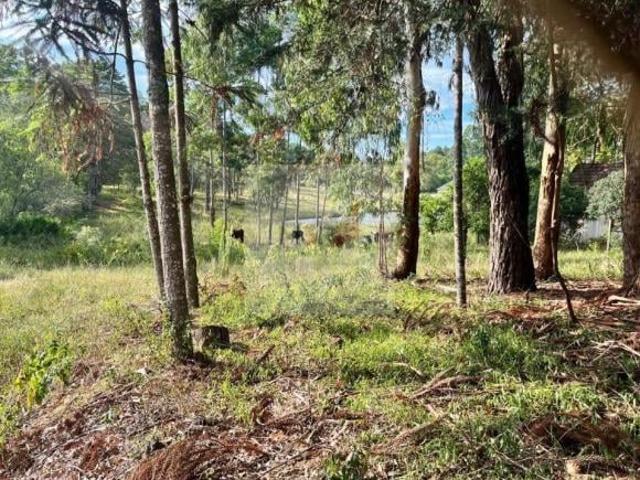 Terreno à Venda em Nova Petrópolis | 433m² Linha Imperial | Frente para Rua Principal