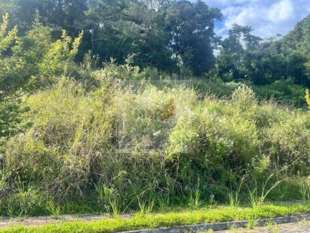 Terreno à Venda em Nova Petrópolis | 520m² Loteamento Bosque das Araucárias I | Linha Imperial