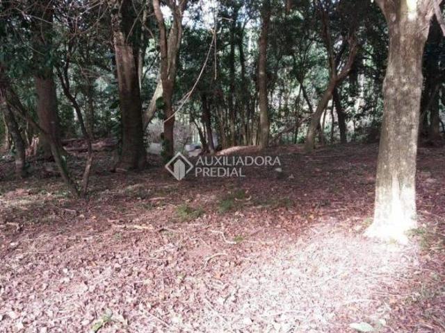 Terreno à venda em Nova Santa Rita Centro