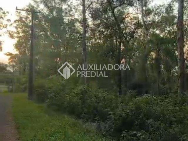 Terreno à venda em Novo Hamburgo