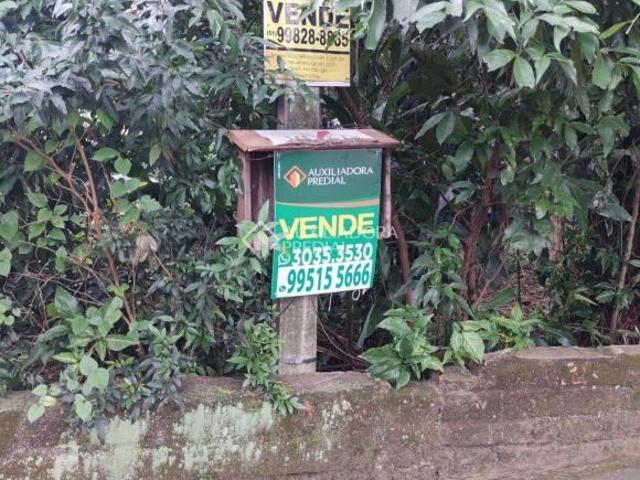 Terreno à Venda em Novo Hamburgo Vila Rosa