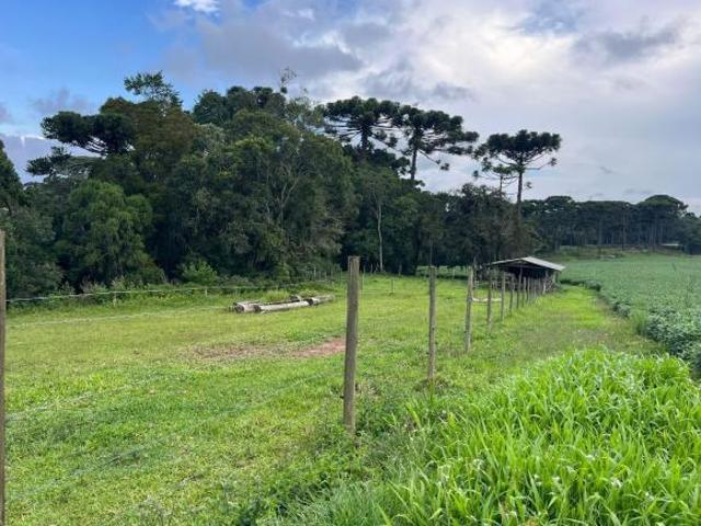 Imoveis em São Marcos