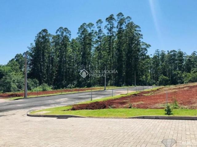 Terreno à Venda em São Bento Lajeado